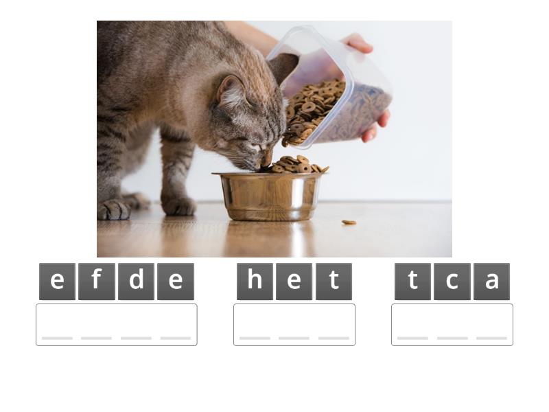 Prepare 1 Unit 10 - Anagrama