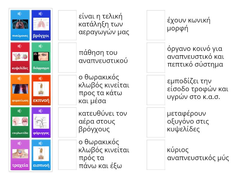 ΑΝΑΠΝΕΥΣΤΙΚΟ ΣΥΣΤΗΜΑ - Match up