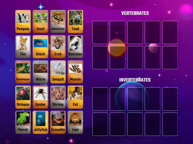 Classify the animals. - Group sort