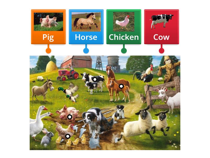 Farm animals - Labelled diagram