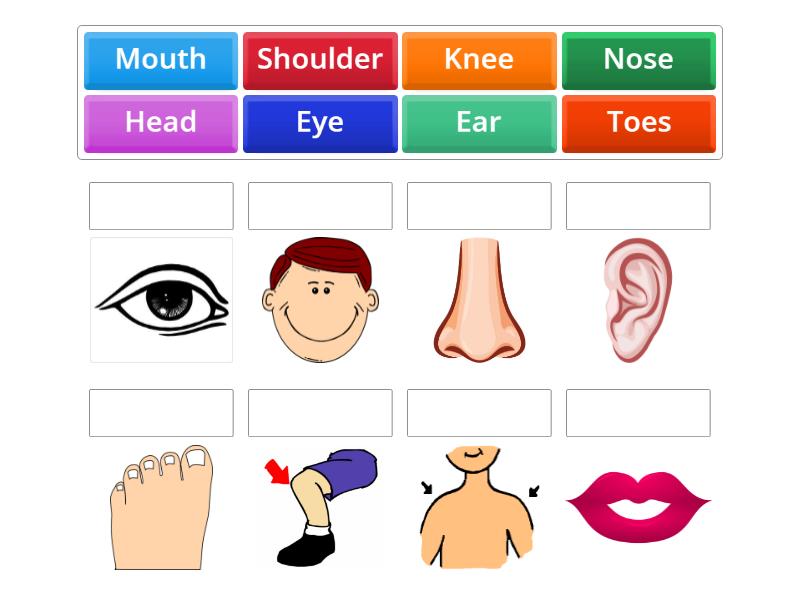 My Body Matching game - Match up
