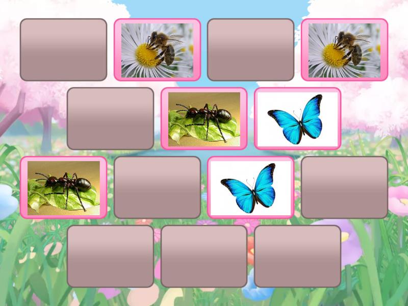 Memory primavera - Matching pairs