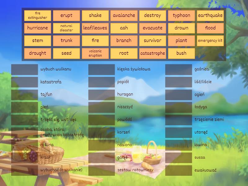 Plants / natural disasters - Match up