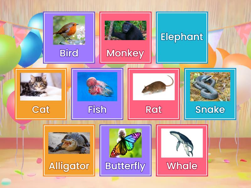 Animals - Flip tiles