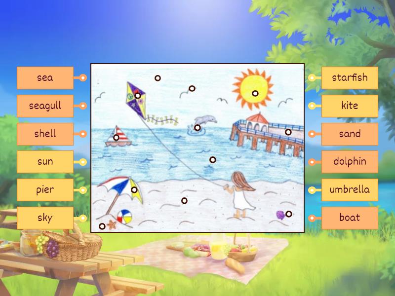 Summer - Labelled diagram