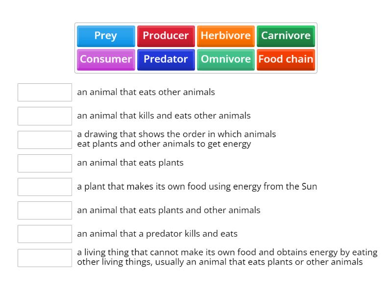 Food chain - Match up