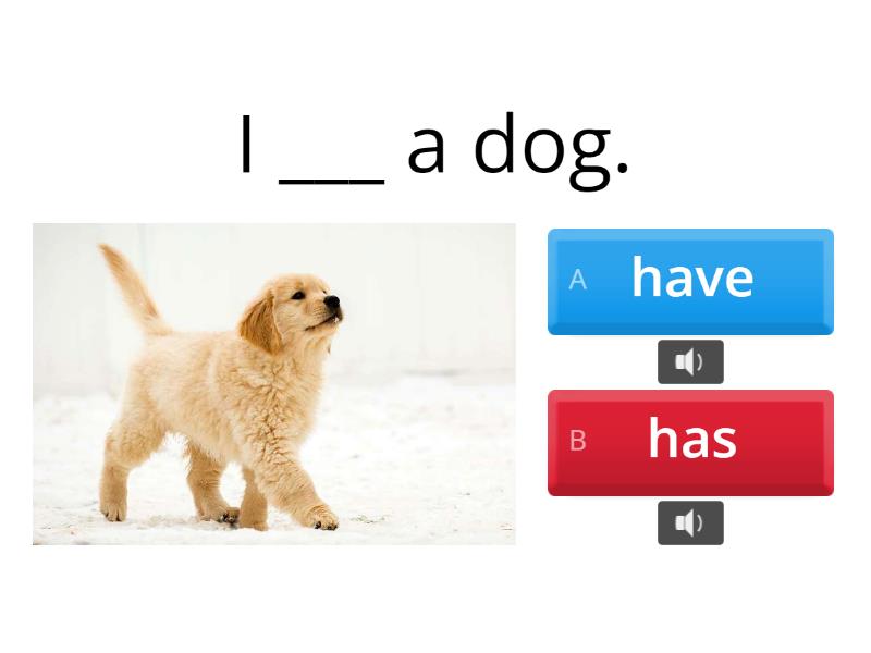 EF elem - 3A Present simple +/- - Quiz