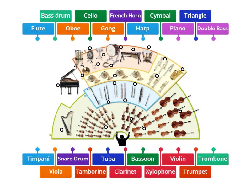 Label the orchestra - Labelled diagram