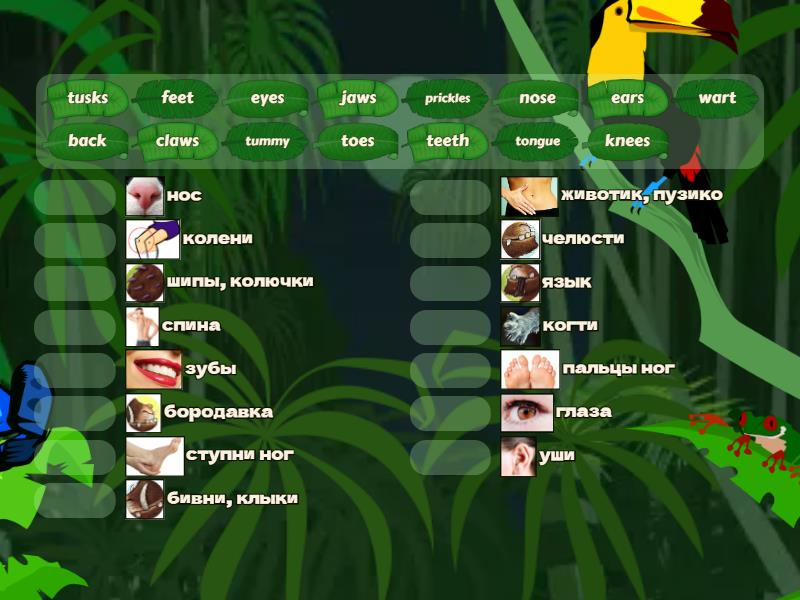 Gruffalo Parts of body - Match up