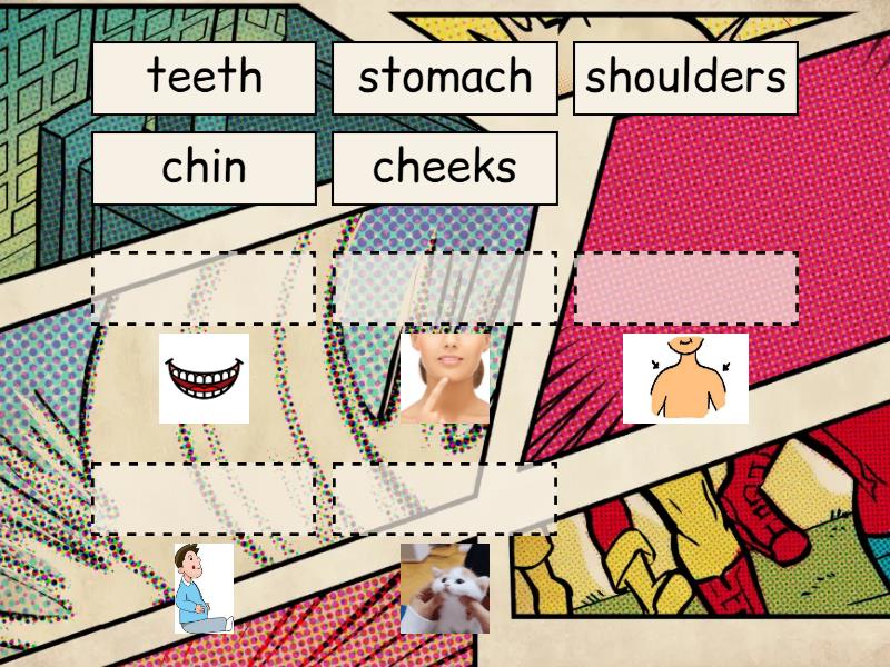 Body - chin cheeks stomach teeth shoulders - Match up