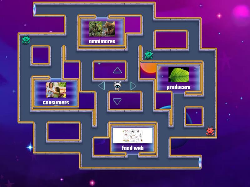 Food Chains & Food Webs Vocabulary - Maze chase