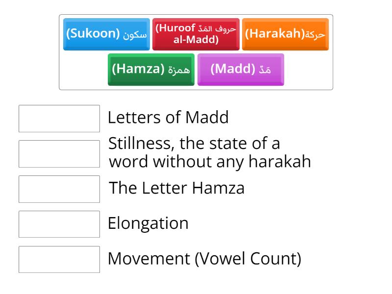 Madd Vocabulary - Match up