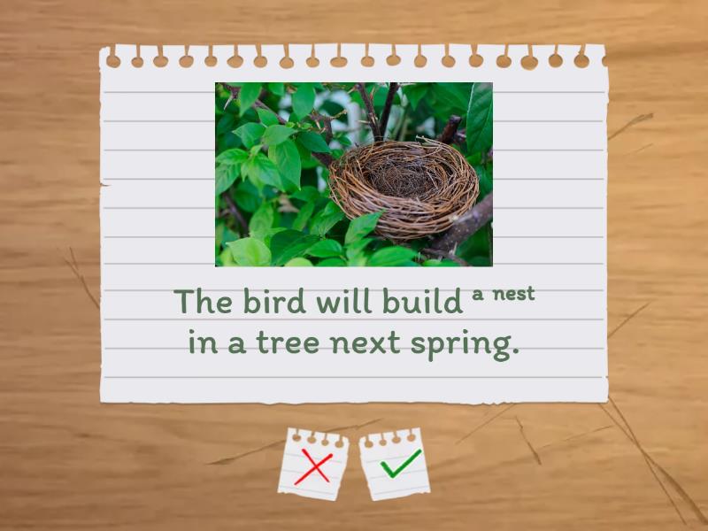 Making questions - Flash cards