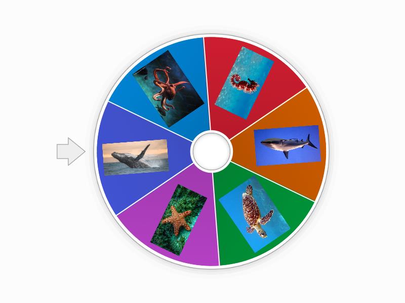 Sea Animals - Spin the wheel