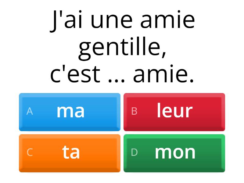 Les Adjectifs possessifs - Quiz