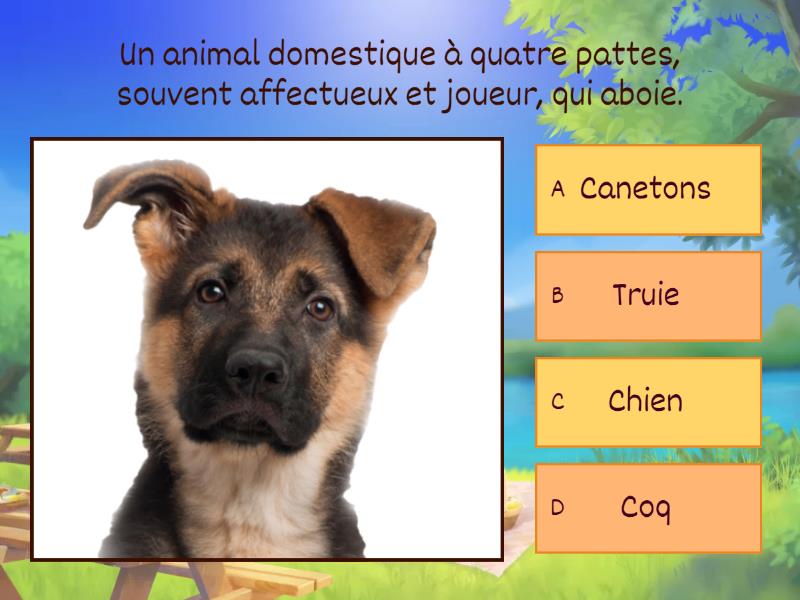 Animaux de la ferme ... - Quiz