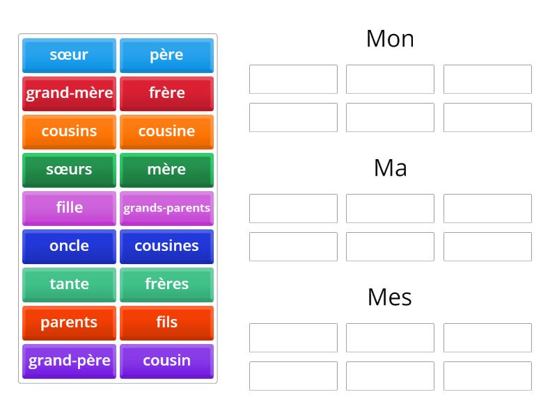Ma famille - mon, ma, mes Y7 - Group sort