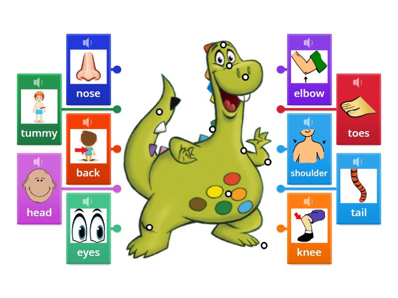 Dex 2 body parts - Labelled diagram