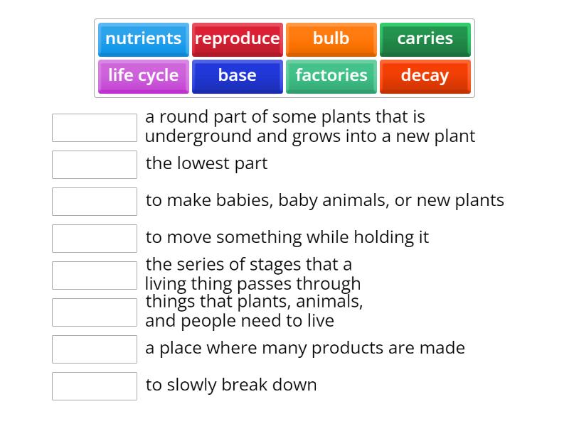 OCR 1st Grade Unit 7 Lesson 1 Day 5 Vocabulary - Match up