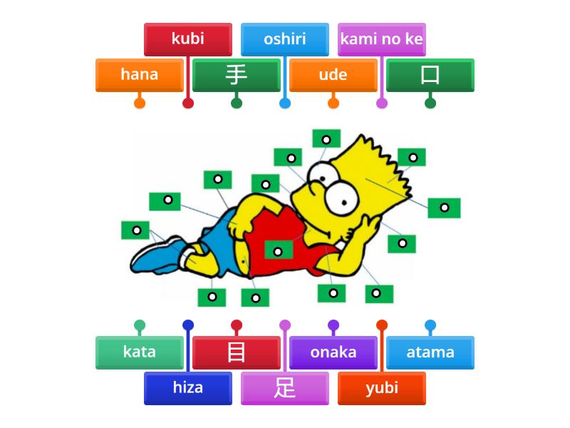 MCSHS Year 7 Japanese - Karada - Labelled diagram