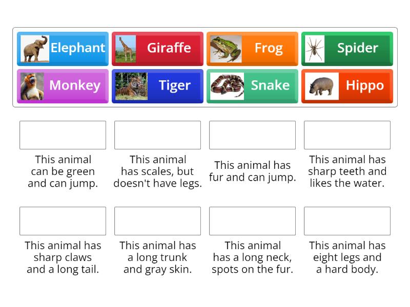 Animal description - Une las parejas