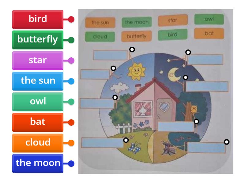 Day and night - Labelled diagram