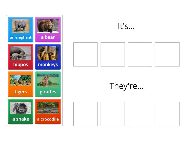 KB1 wild animals - Group sort