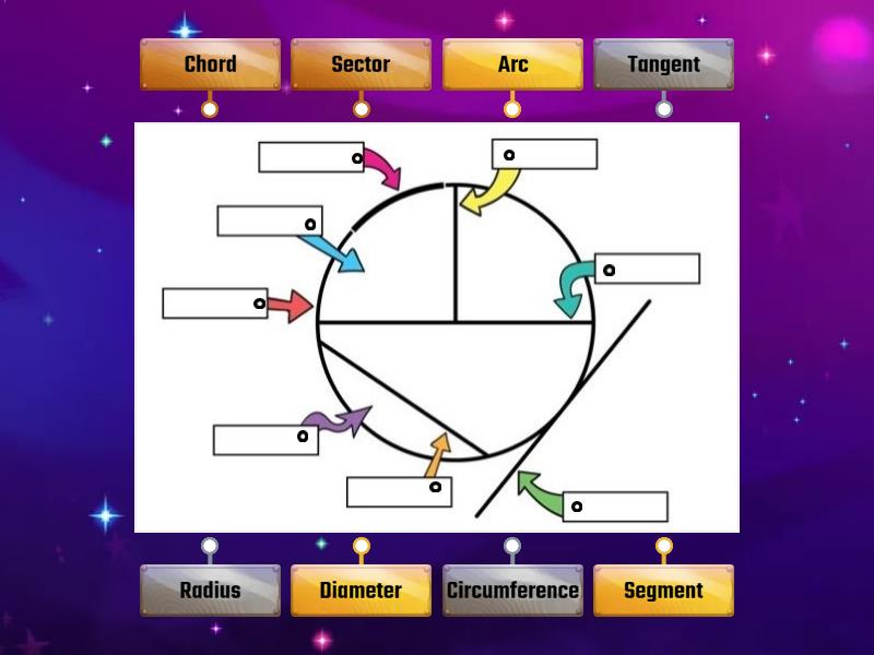 Label the Circle - Labelled diagram
