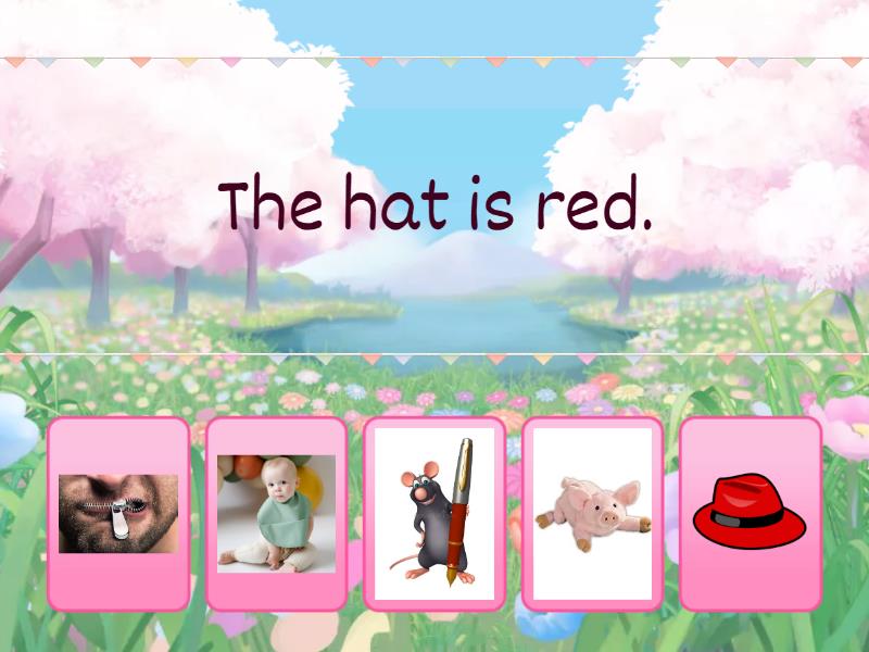 CVC sentences mystery game - Find the match