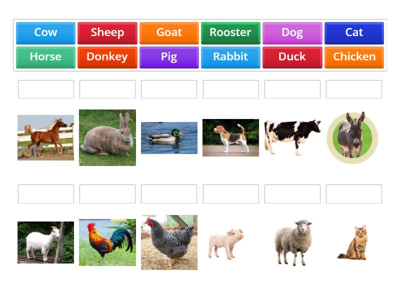 Farm animals - Match up