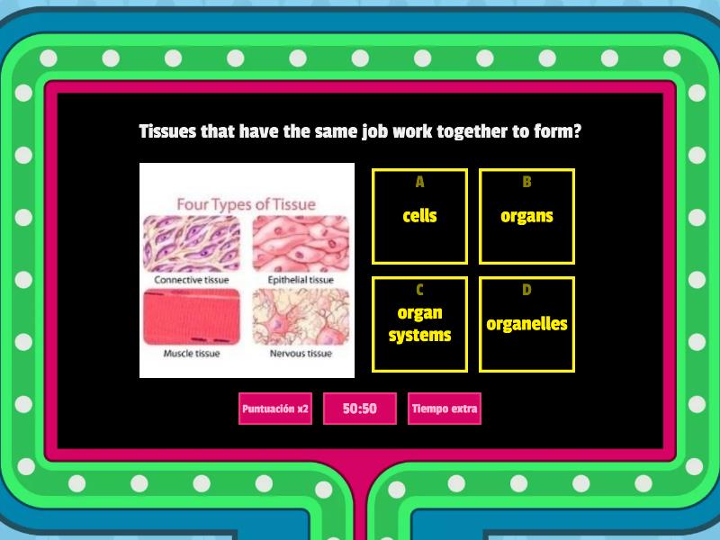 5th Graders Cells-tissues-organs-organ systems! - Gameshow quiz
