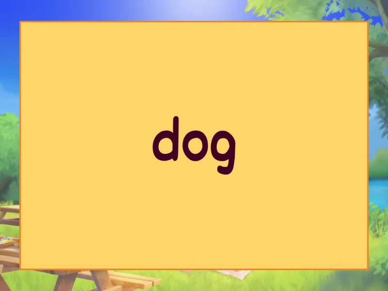 Practice sentence "dog" - Flash cards