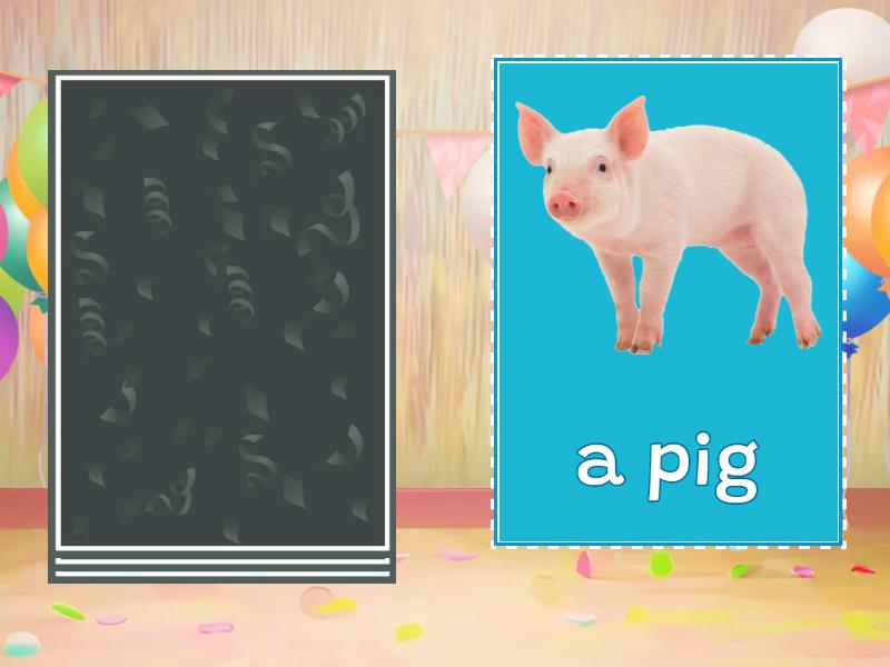 Pp panda pig penguin parrot - Random cards