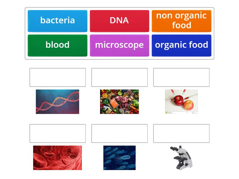 TASK 1 biology - Match up