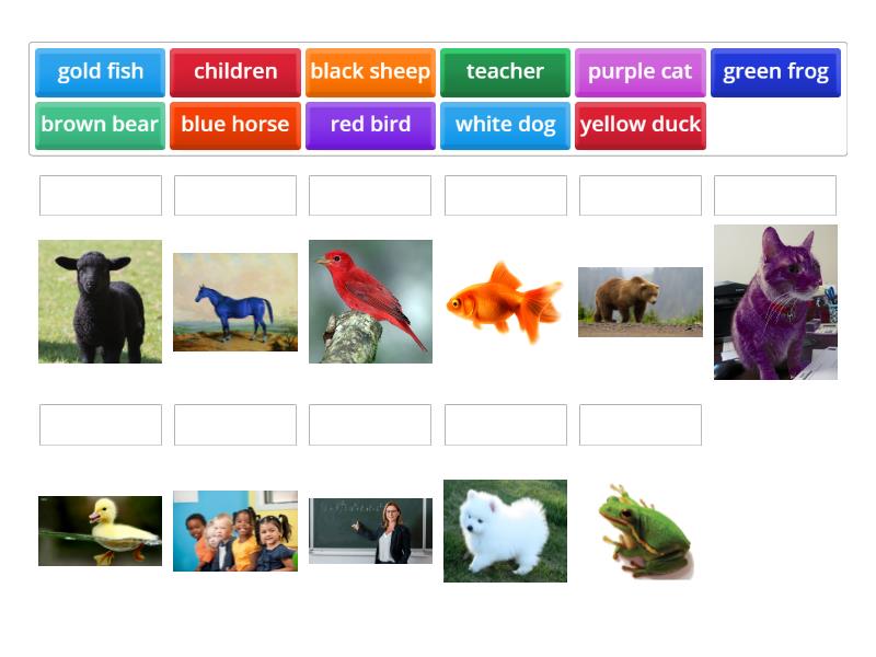 Brown Bear, Brown Bear, What do you see? - Match up