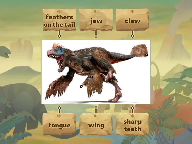 Dinosaur - Labelled diagram