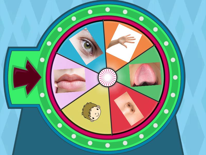 Esquema Corporal - Spin the wheel