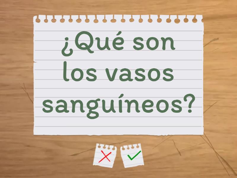 Biología sistema circulatorio. Preguntas. - Flash cards