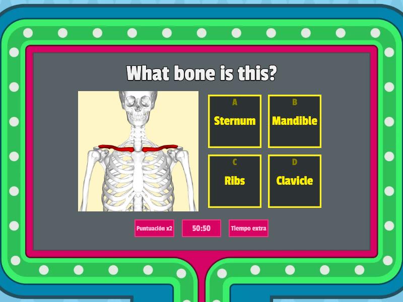 What bone is this? - Gameshow quiz