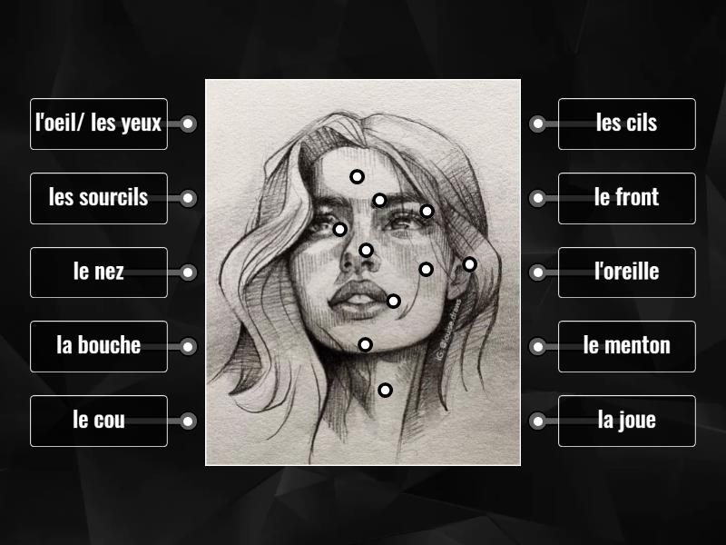 Le visage - Labelled diagram