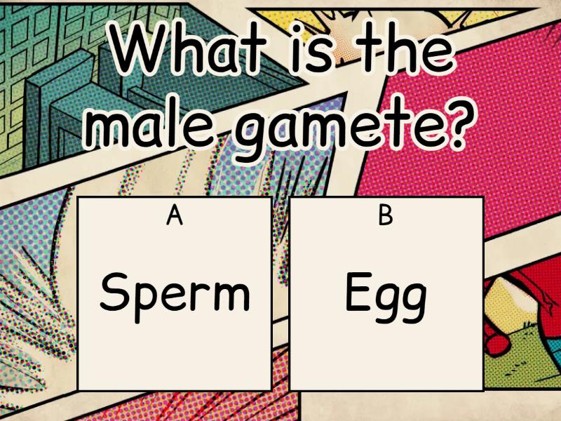 Grade 6: Male Reproductive System - Quiz
