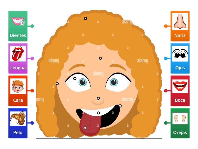 Partes de la cara - Labelled diagram