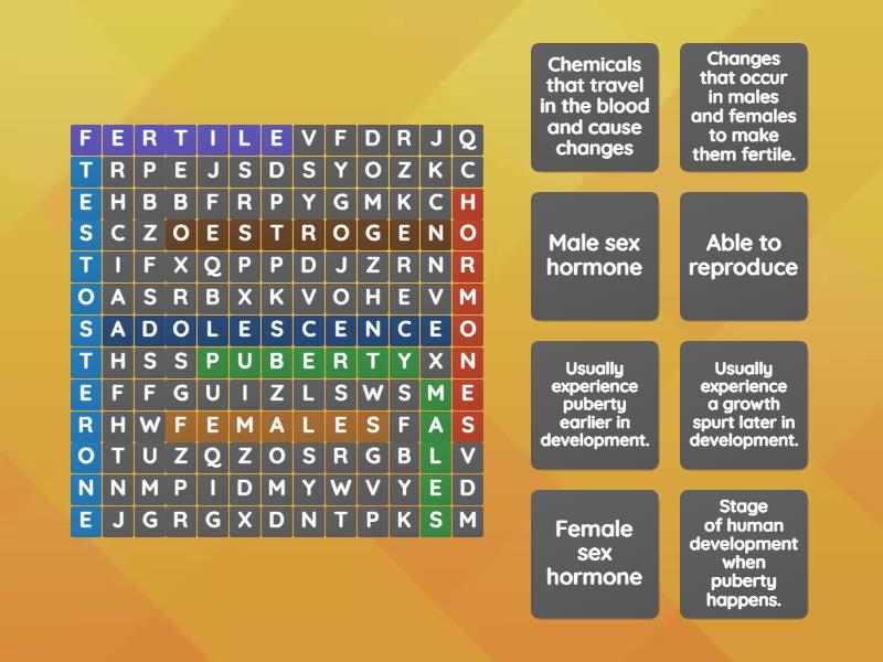 Stages of Human Development & Puberty - Wordsearch
