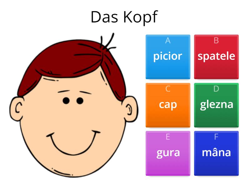 Die Körperteile - Quiz