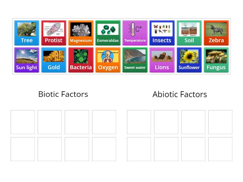 Identifies biotic and abiotic factors - Group sort
