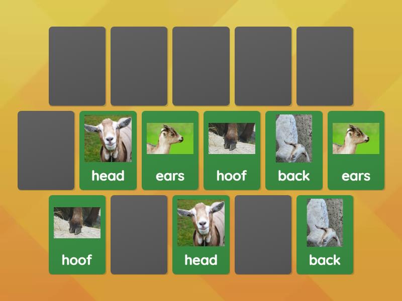 Parts of a Goat- Memory Match - Matching pairs