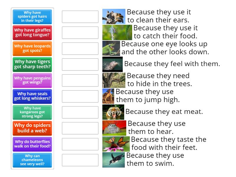 Why and Because - Match up