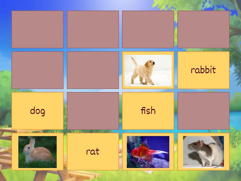 Pets2 - Matching pairs