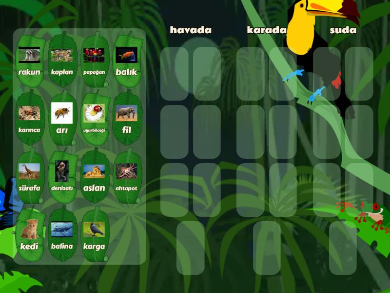 Havada Karada Suda Yaşayan Hayvanlar - Grup sıralaması