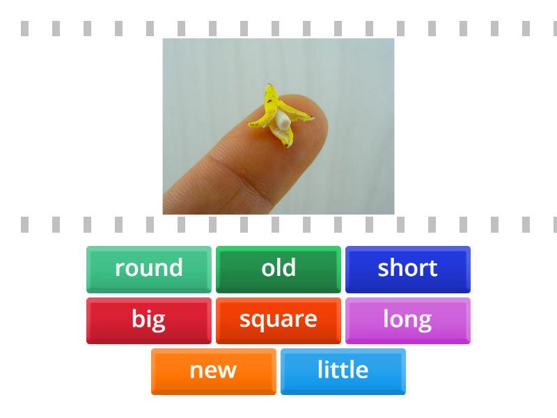 sizes - Find the match